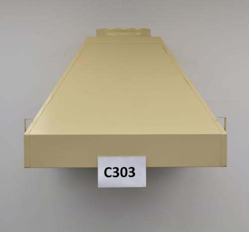 3' Hamilton Scientific Wall Canopy Fume Hood (C303) - National ...