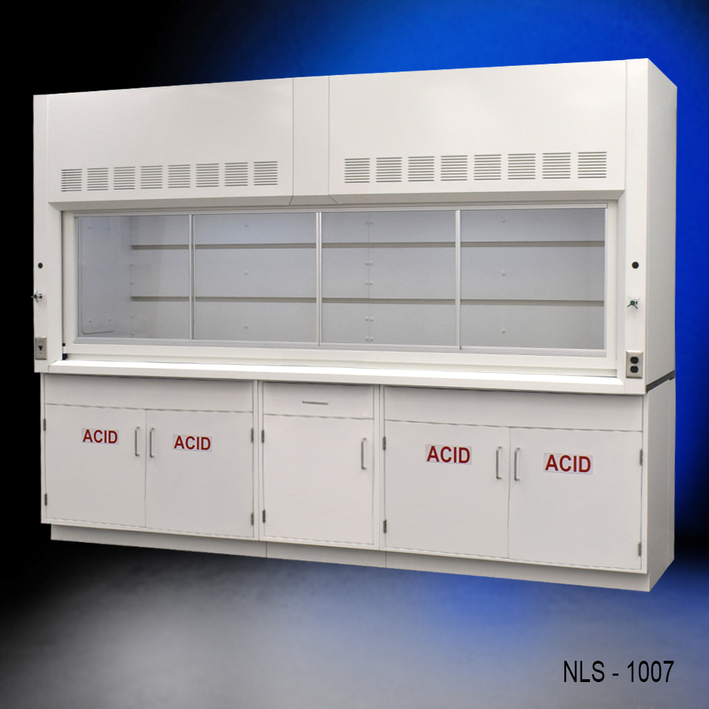 10' Fisher American Fume Hood w/ ACID Storage Cabinets - National ...